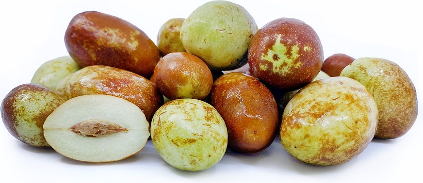 -Long Honey Jujube — Nut King